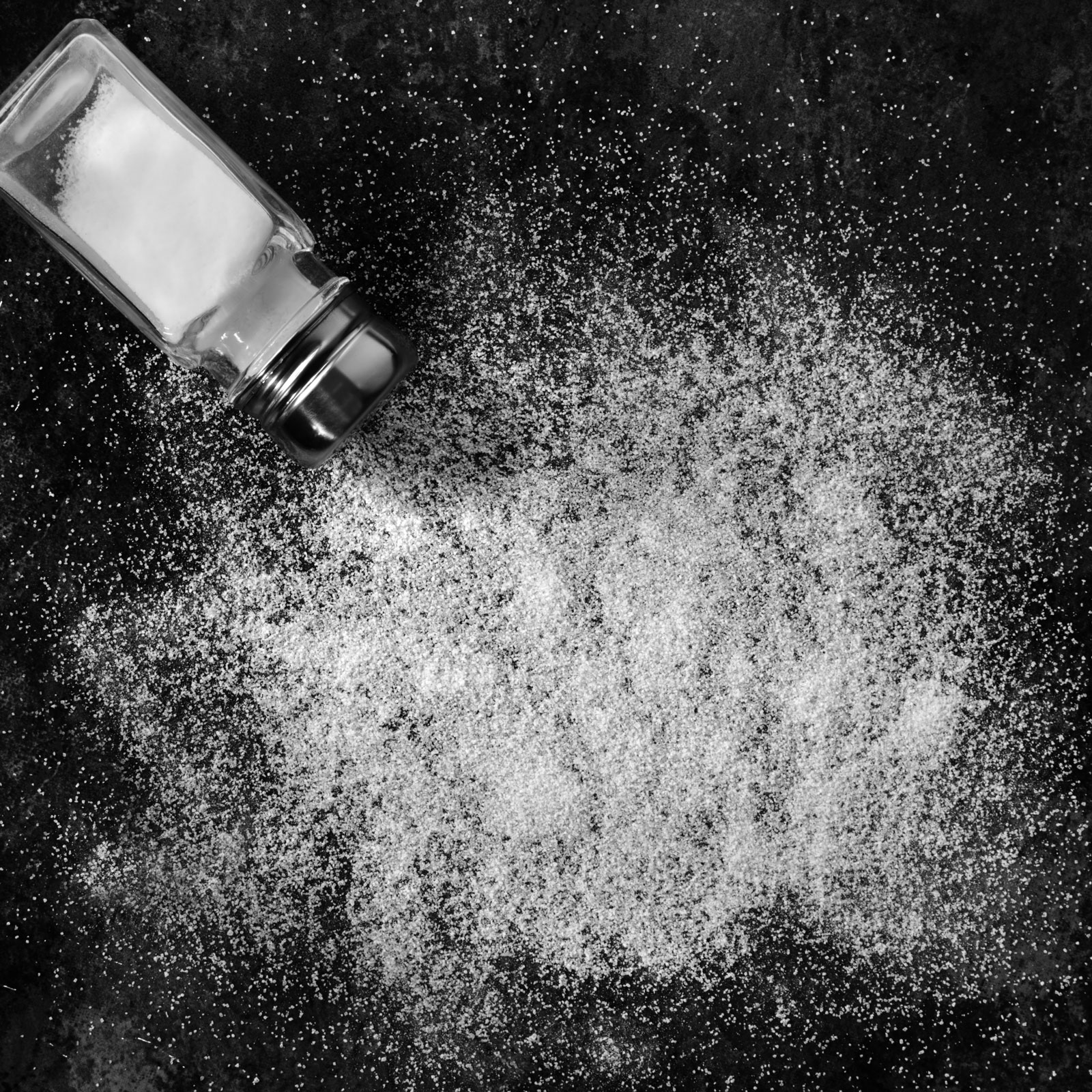 Fear and the 5-Foot Snake - Peer Magazine | The Salvation Army