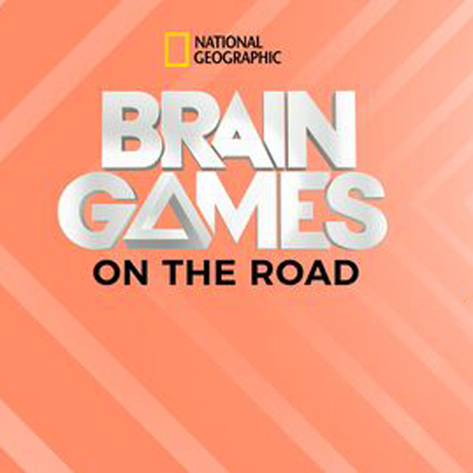 Art & Tech, The Proud House, Brain Games | Reviews